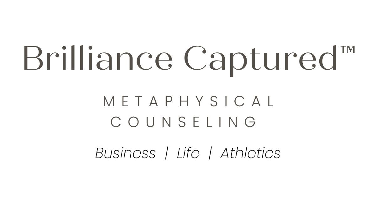 Project Partner Services – Brilliance Captured